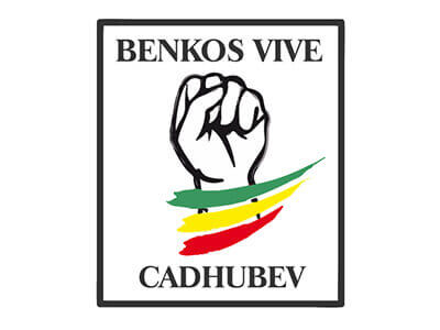 About - Pan-African Council