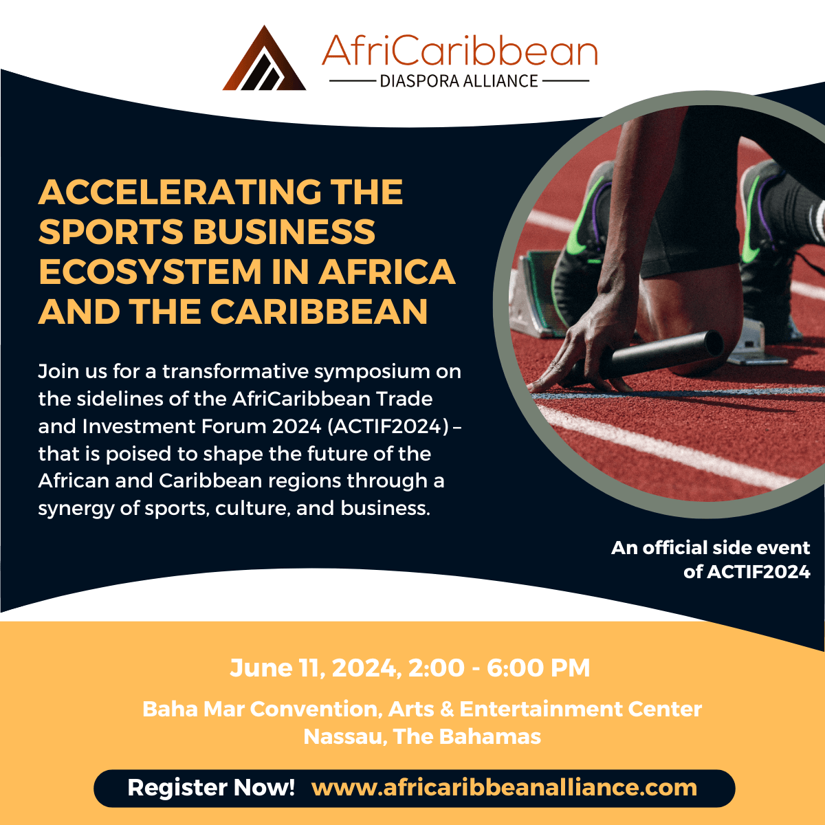 Pan-African Council - Building Our Common Destiny