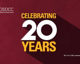 Our Work - Pan-African Council